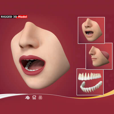 3D Models | Anatomy | RenderHub