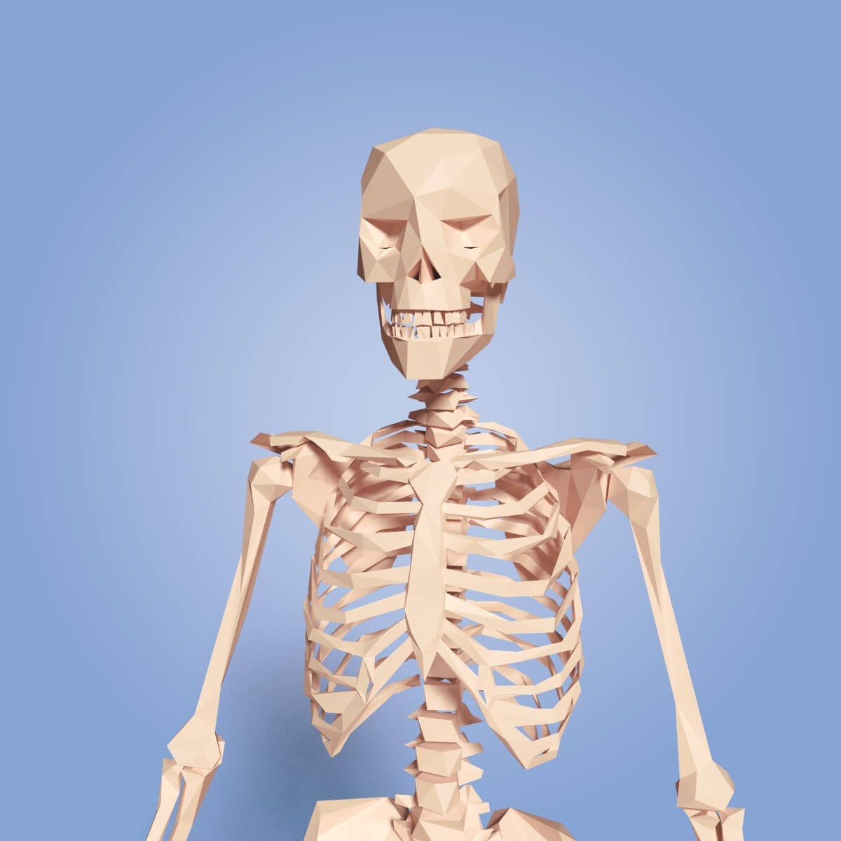 Cartoon Human Skeleton