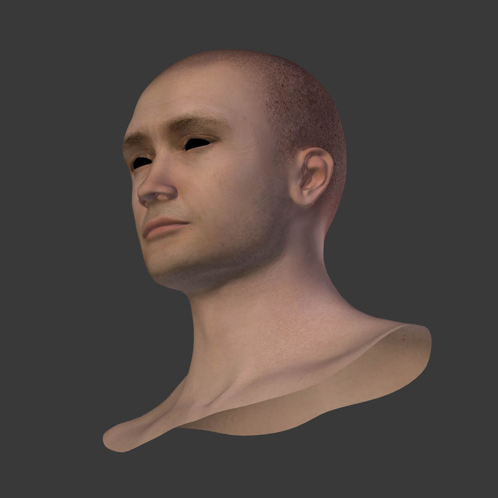Man Head Mannequin - 3D Model by Ocstard