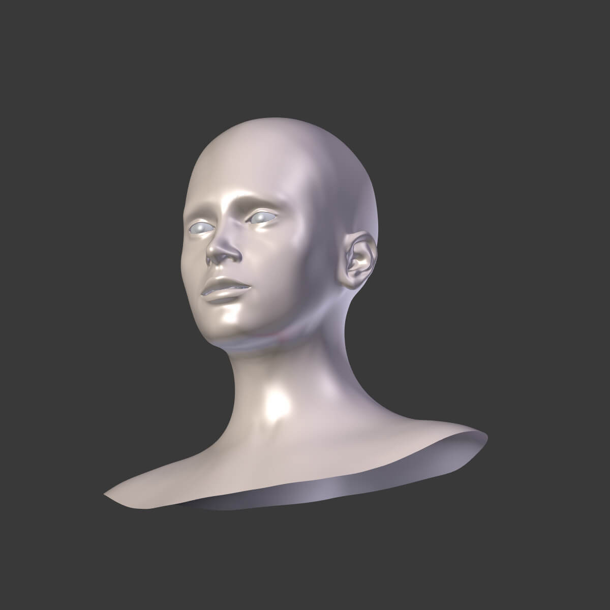 Woman Head Mannequin - 3D Model by Ocstard