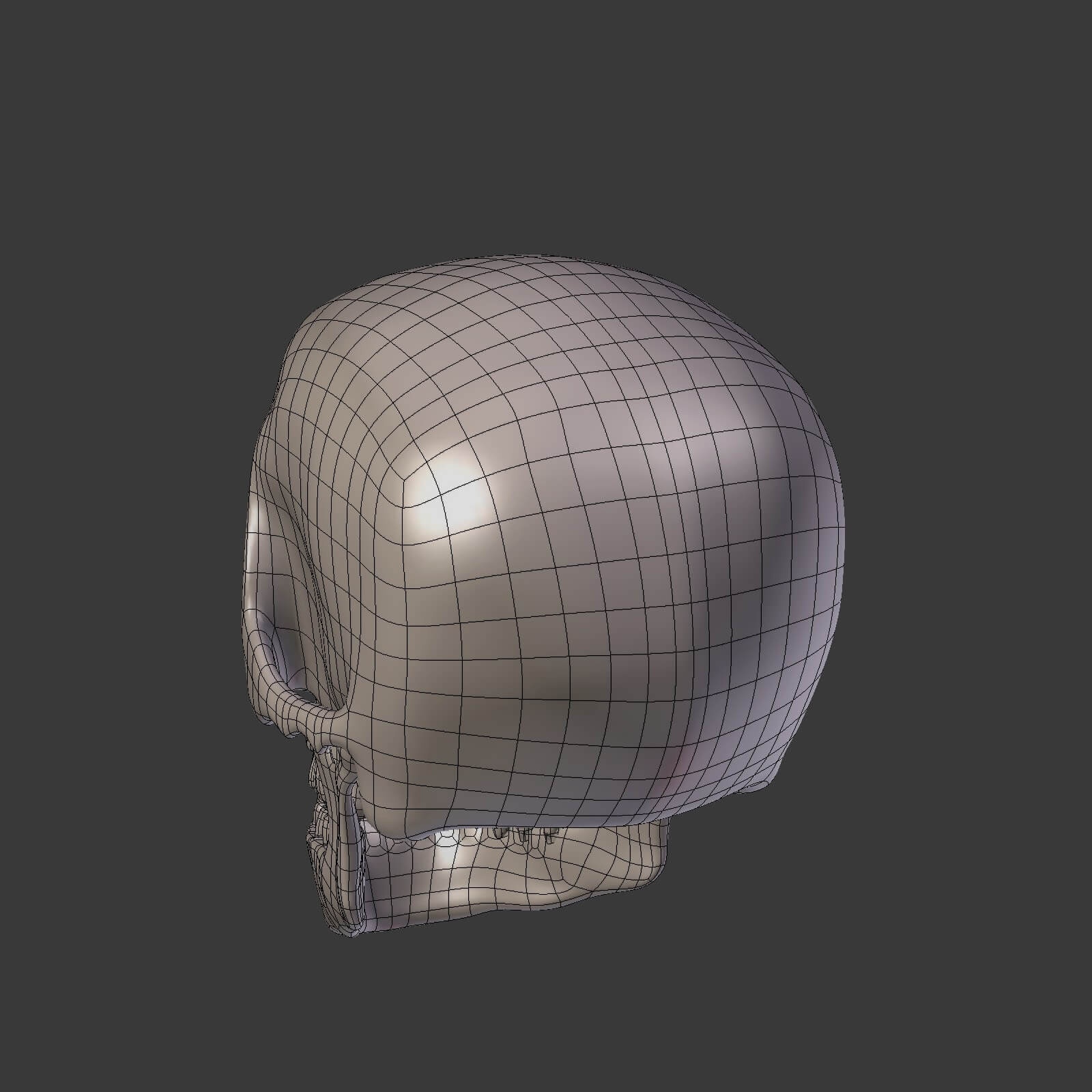Anatomy Skull - 3D Model by Ocstard