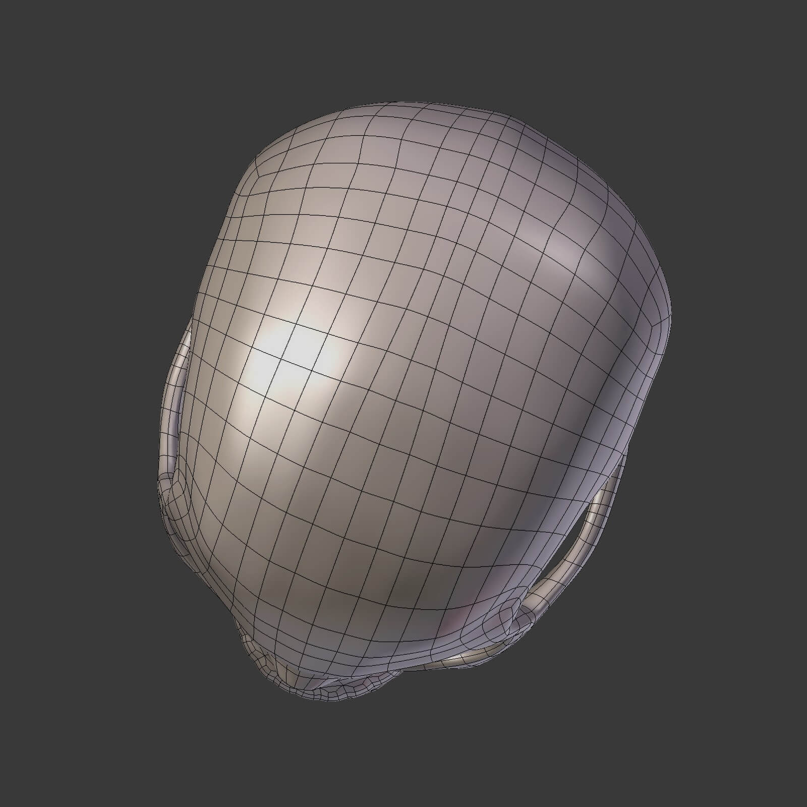 Anatomy Skull - 3D Model by Ocstard