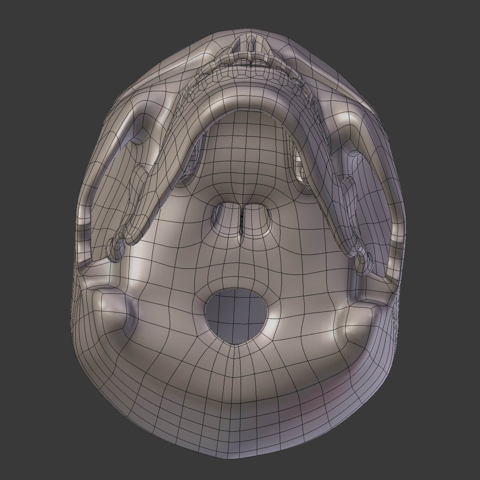 Anatomy Skull - 3D Model by Ocstard