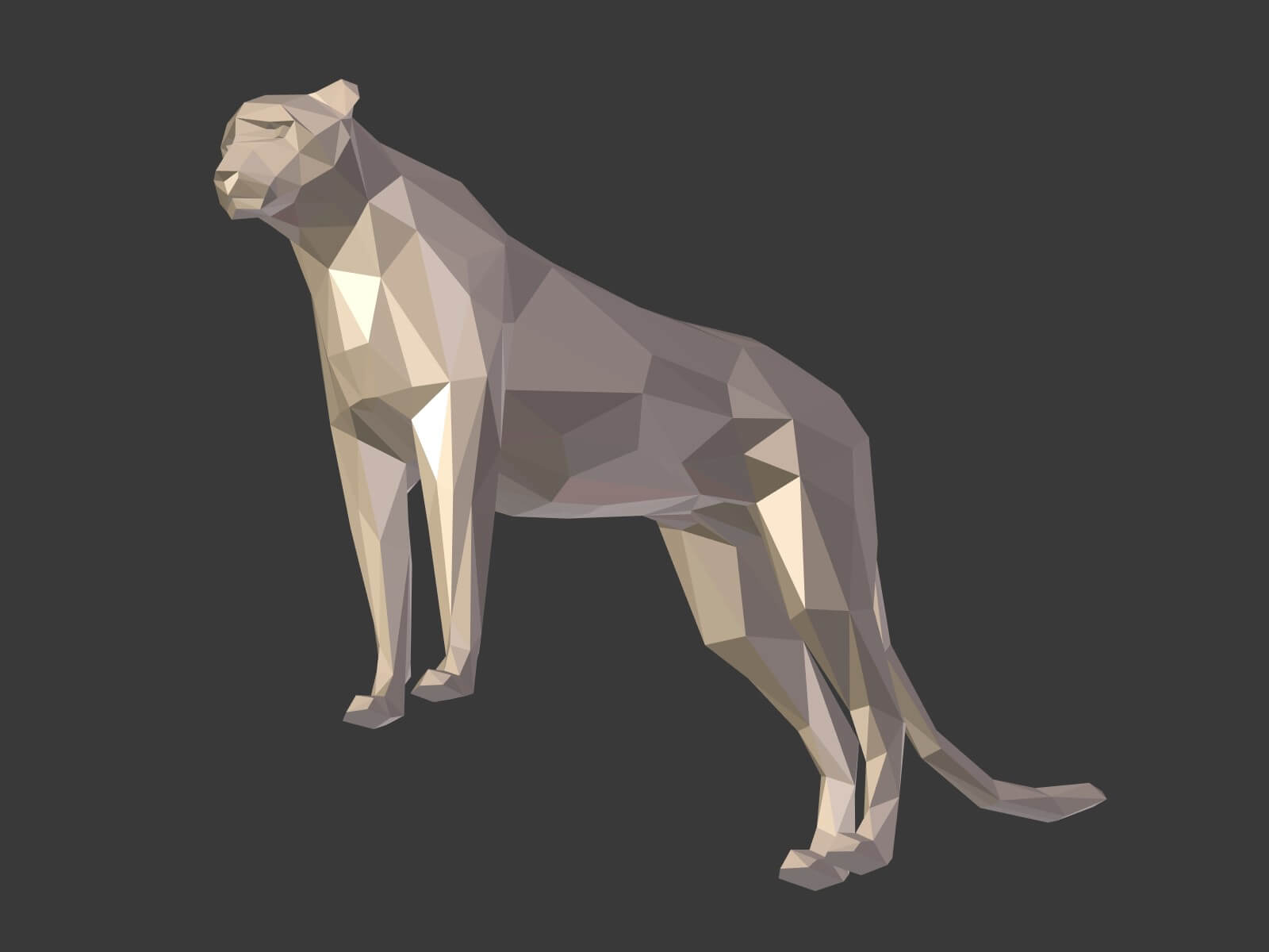 Low Poly Cartoon Cheetah - 3D Model by Ocstard