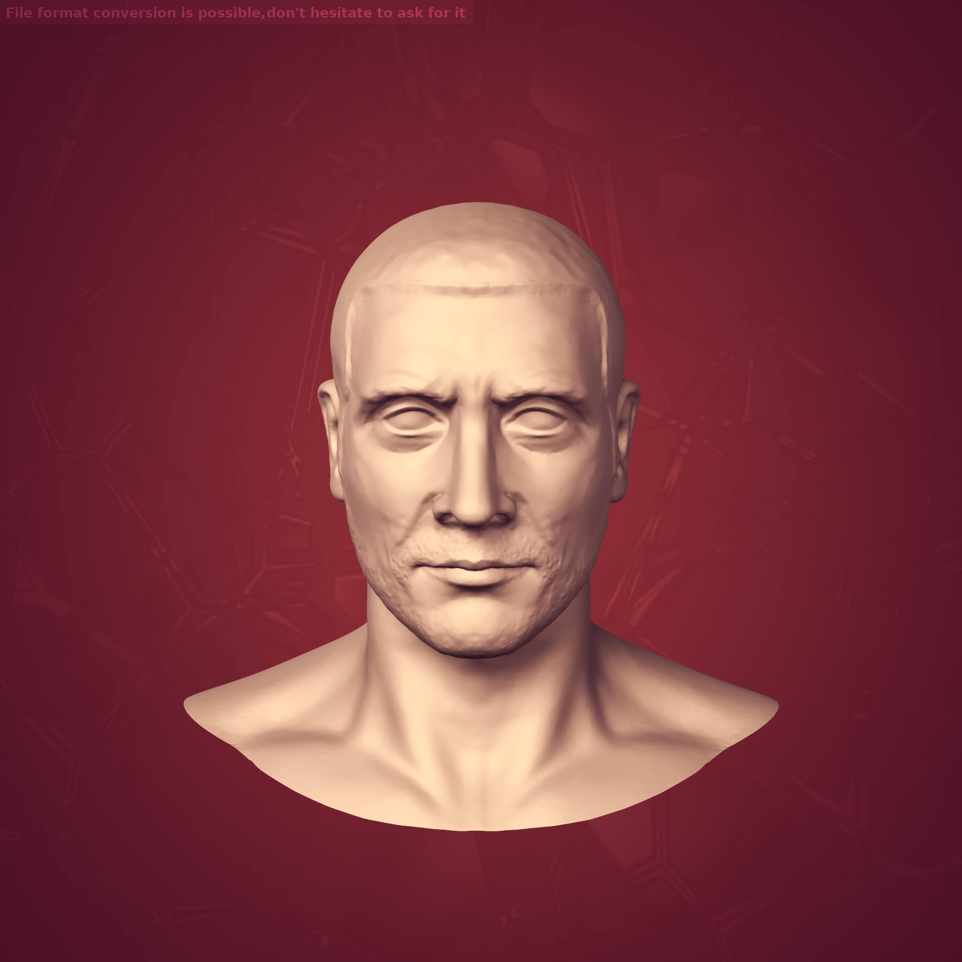 Caucasian Bust - 3D Print Model by Ocstard