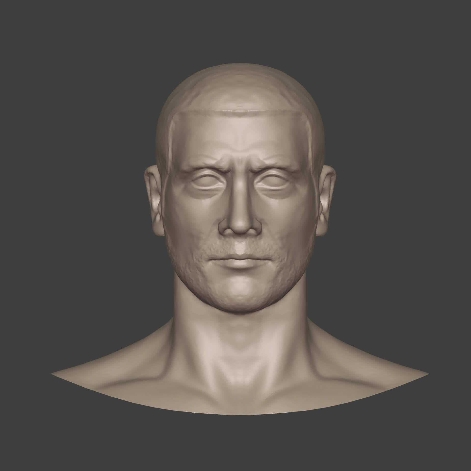 Caucasian Bust - 3D Print Model by Ocstard