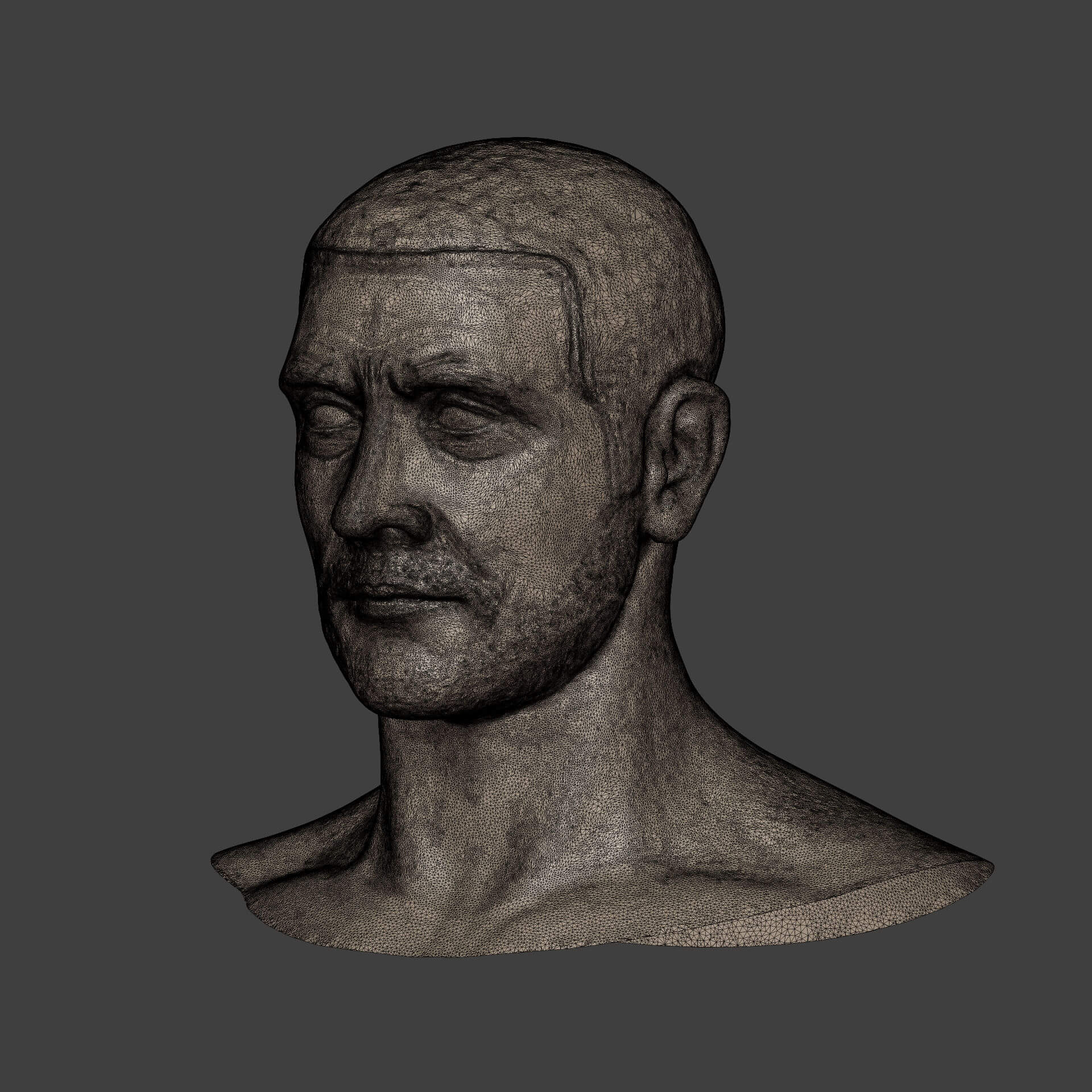 Caucasian Bust - 3D Print Model by Ocstard