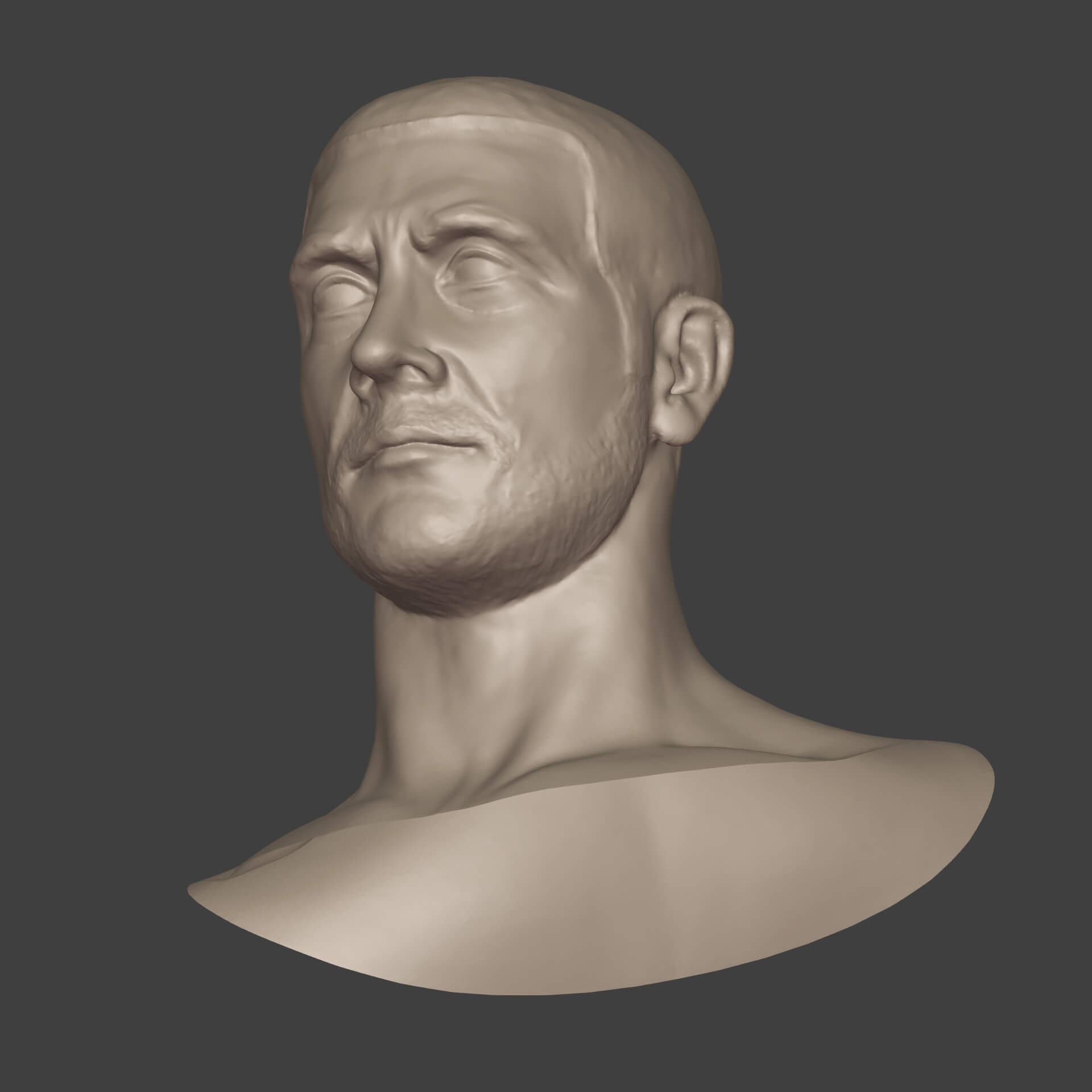 Caucasian Bust - 3D Print Model by Ocstard