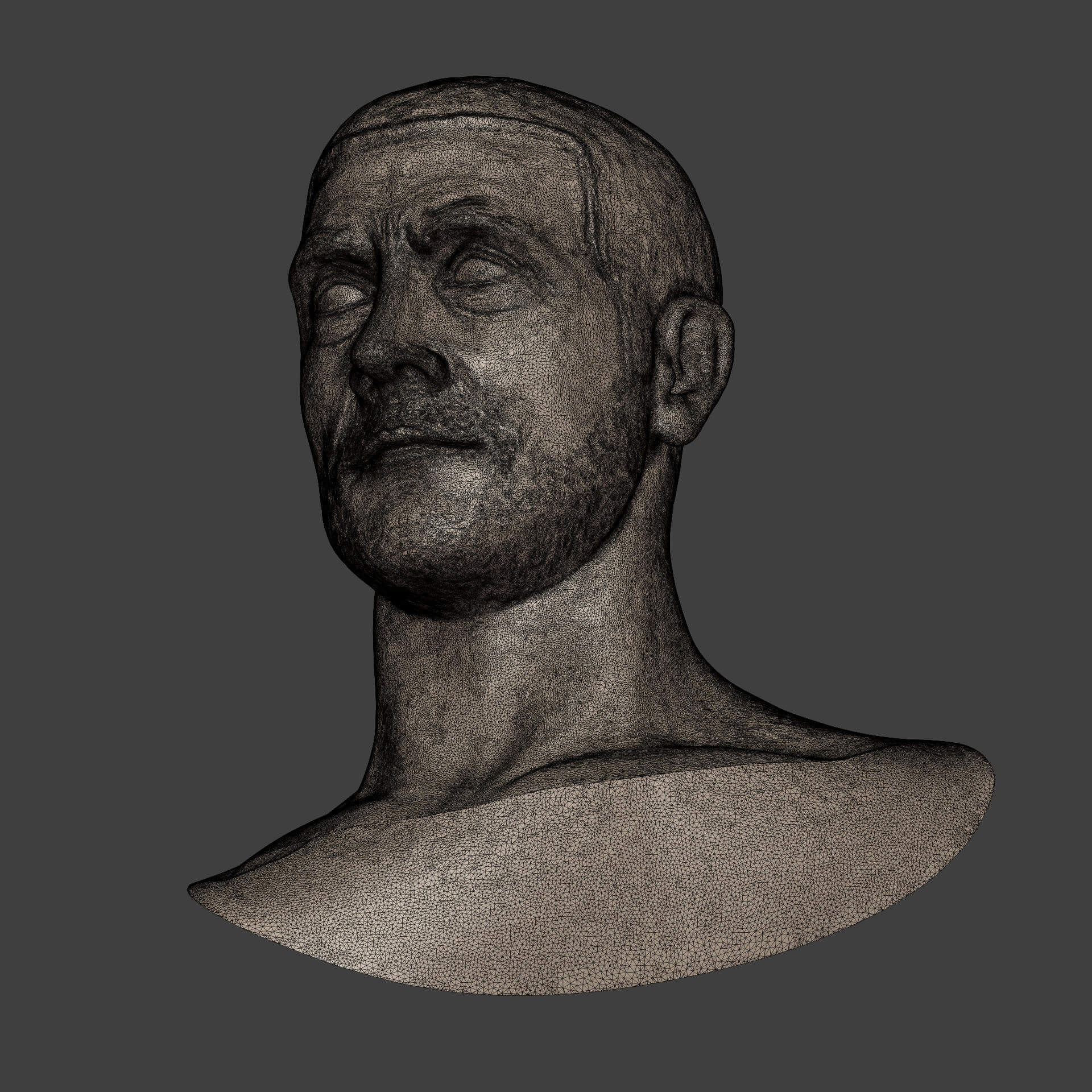 Caucasian Bust - 3D Print Model by Ocstard