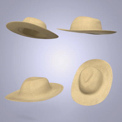 Classic Sun Hat - 3D Model by Ocstard