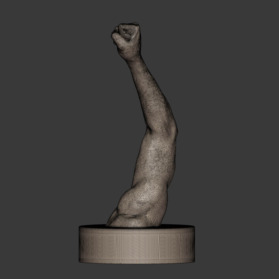 Arm Figurine - 3D Model by Ocstard