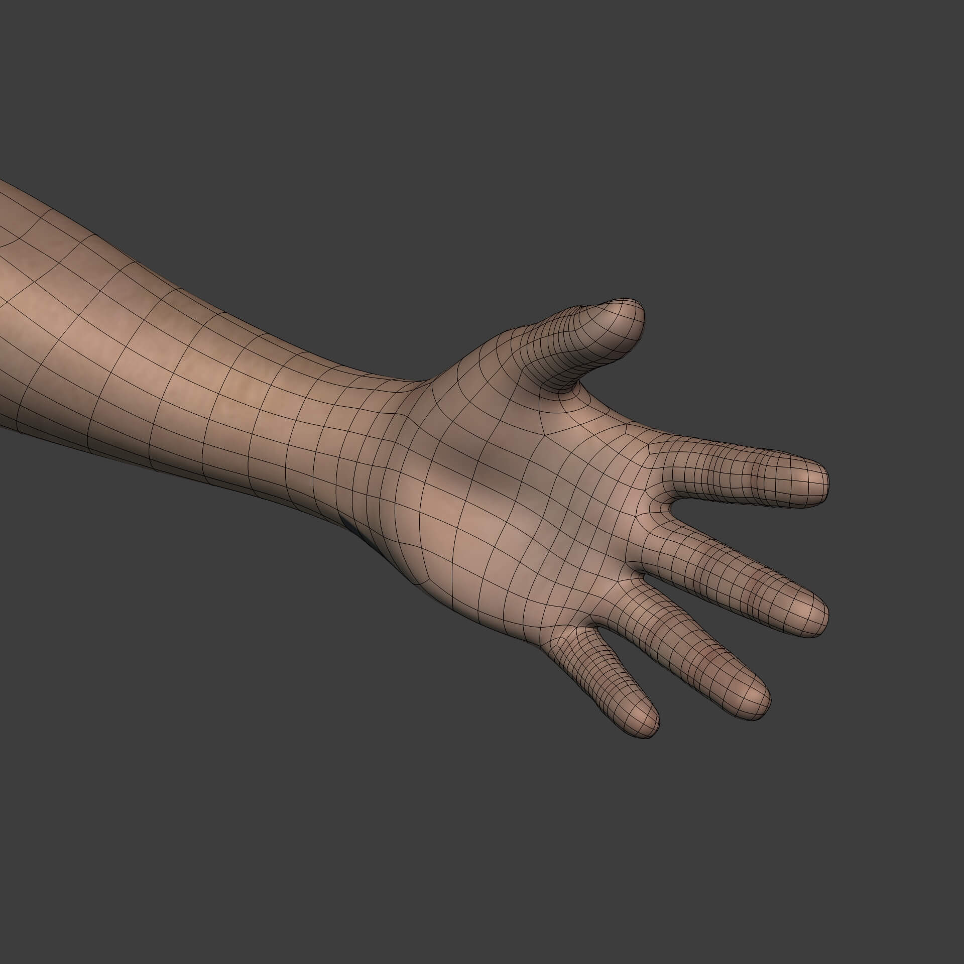 Mechanic - 3D Model by Ocstard
