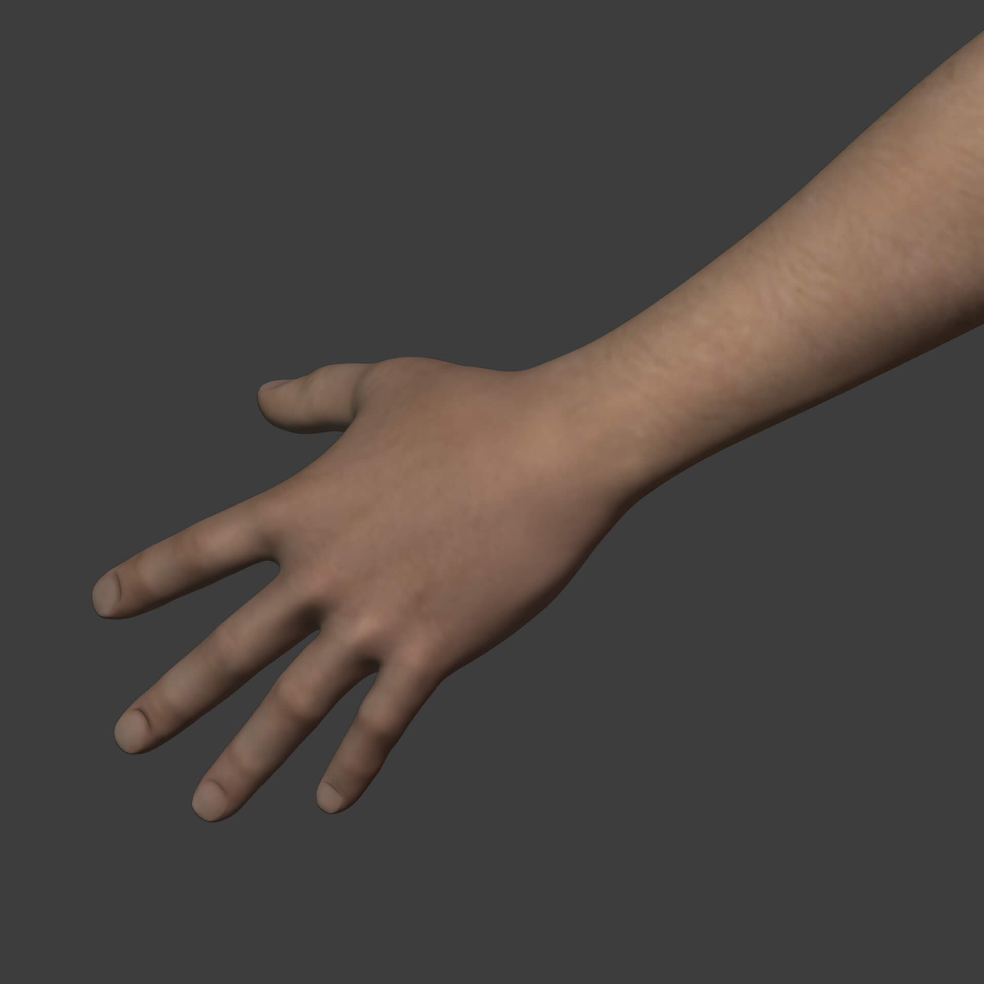 High Quality Models - 3D Model by Ocstard