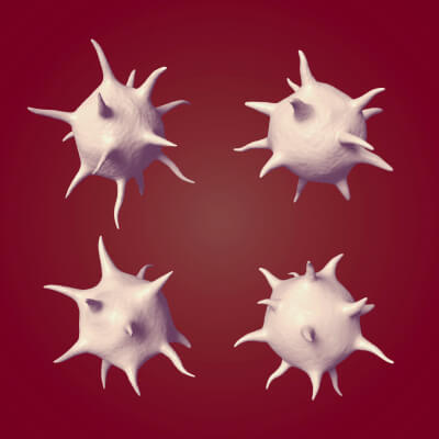 Blood Platelet Pack - 3D Model by Ocstard