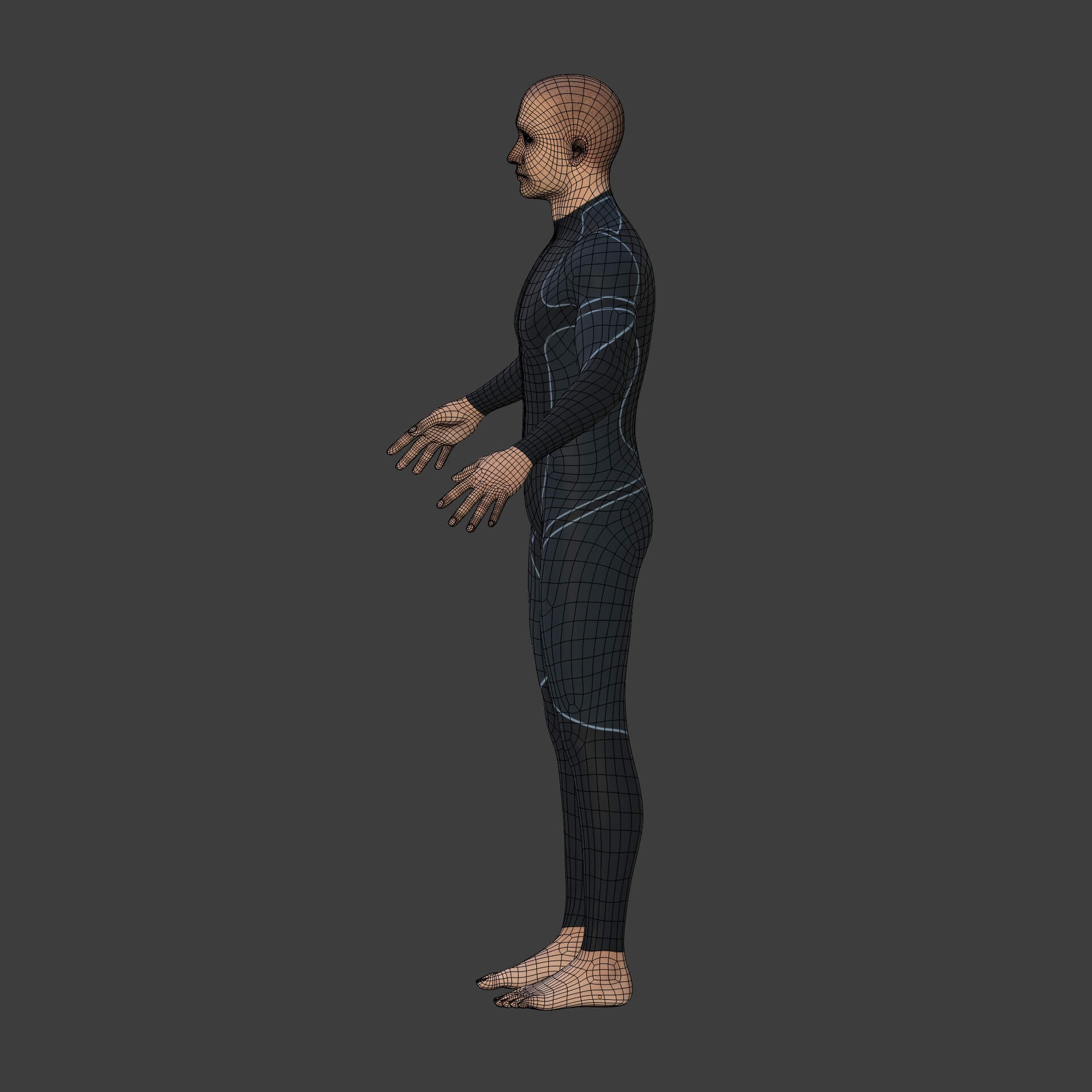 Rigged Surfer - 3D Model by Ocstard
