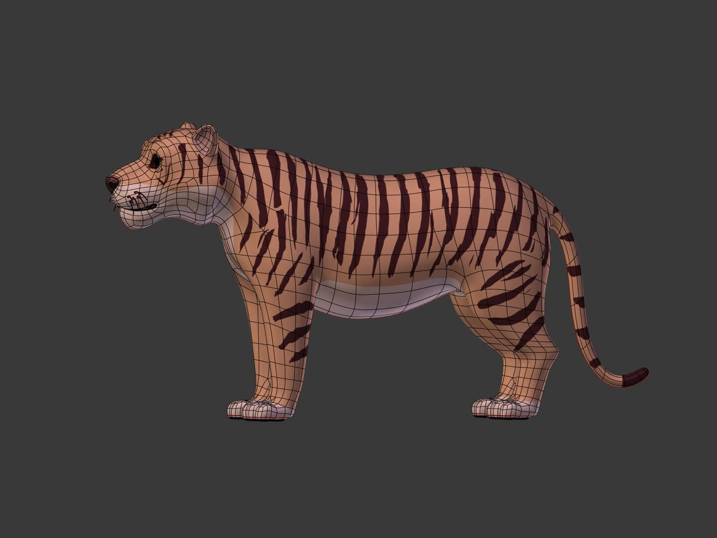Cartoon Tiger - 3D Model by Ocstard