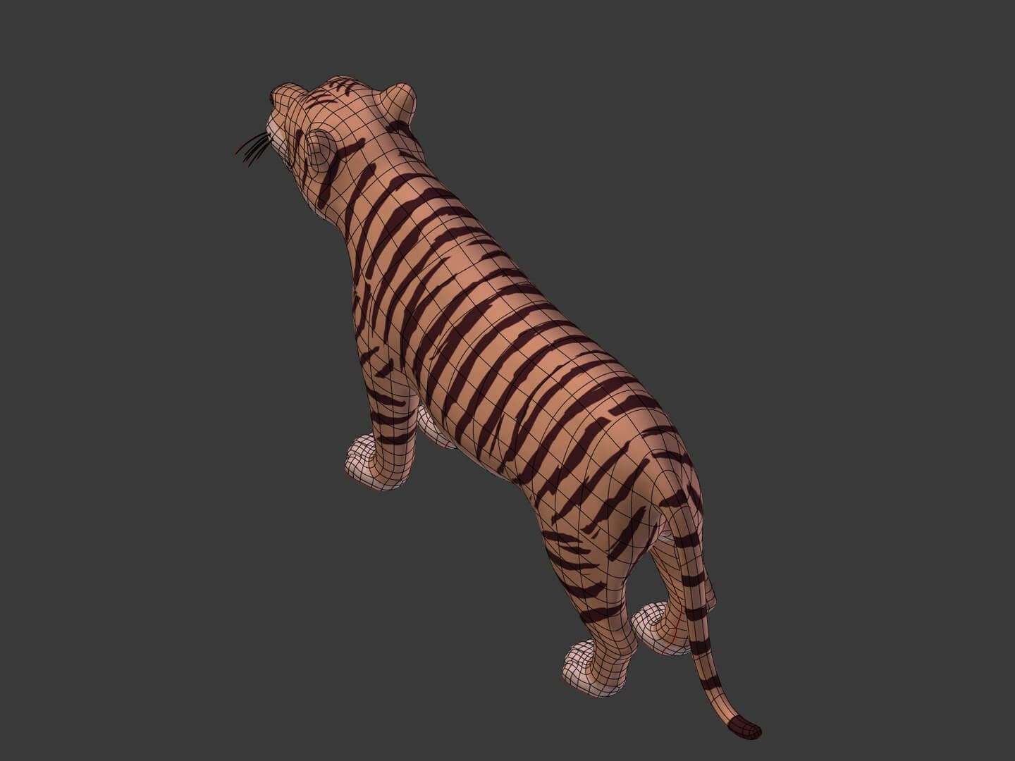 Cartoon Tiger - 3D Model by Ocstard