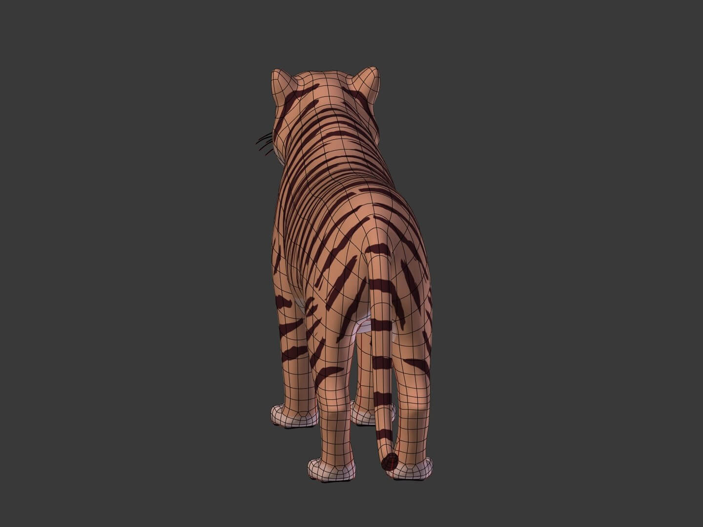 Cartoon Tiger - 3D Model by Ocstard