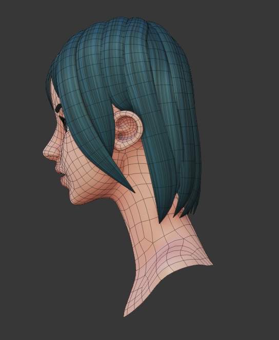 Cute Character Girl CJ - 3D Model by Okamizan