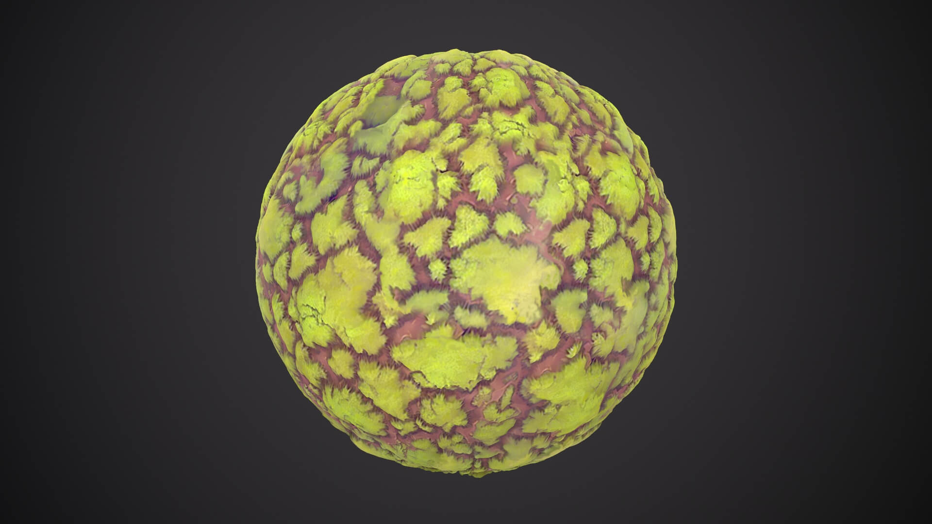 Hand Painted Textures - Vol 45 - Moss 3D Texture by oleekconder