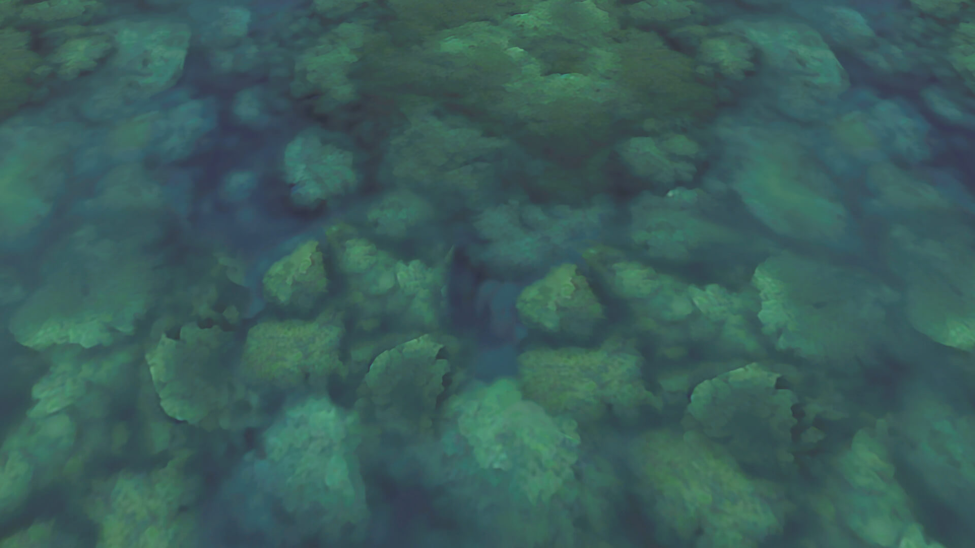 Hand Painted Textures - Vol 45 - Moss 3D Texture by oleekconder