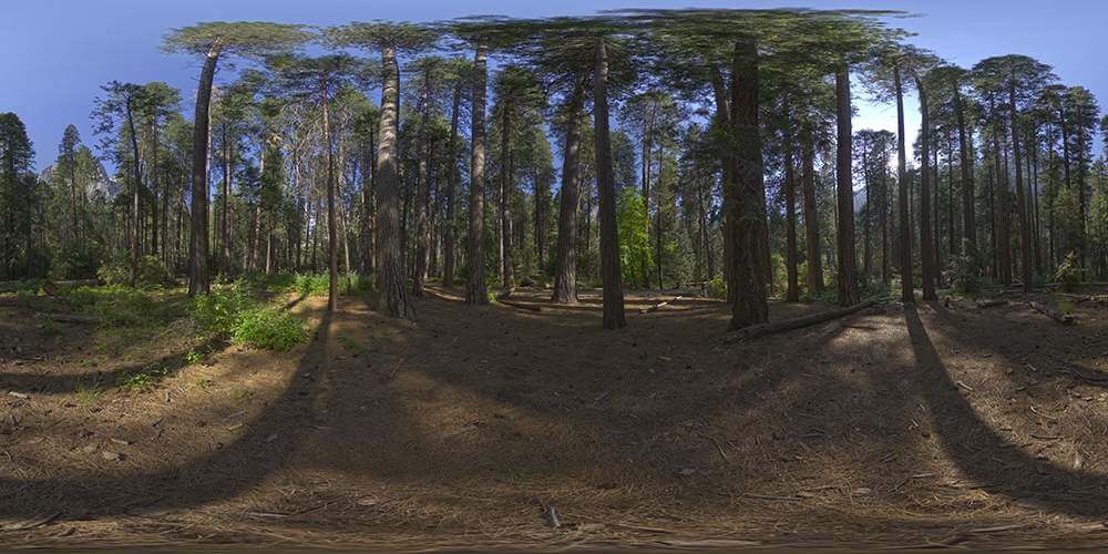 Yosemite Wood (HDRI 012) - HDR Image by omayolas