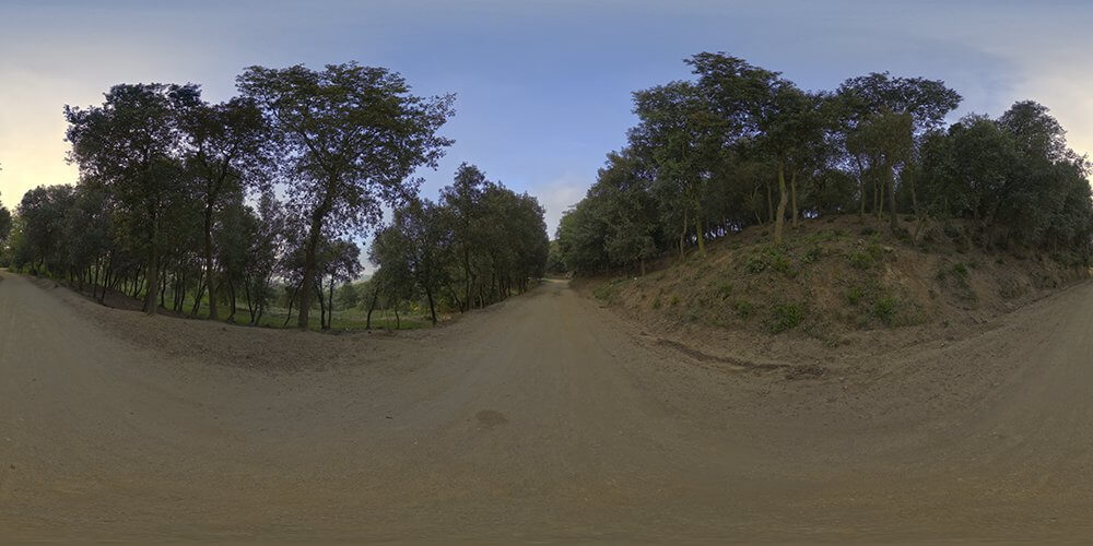 Wood Path 01 (HDRI 060) - HDR Image by omayolas