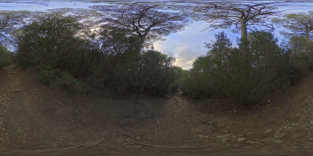 Wood Path 04 (HDRI 064) - HDR Image by omayolas