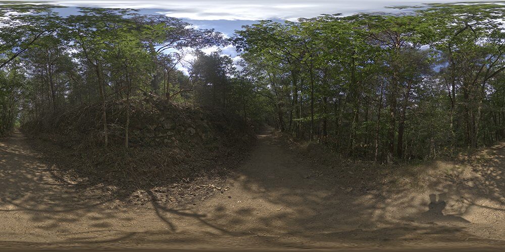 Wood Path 06 (HDRI 066) - HDR Image by omayolas