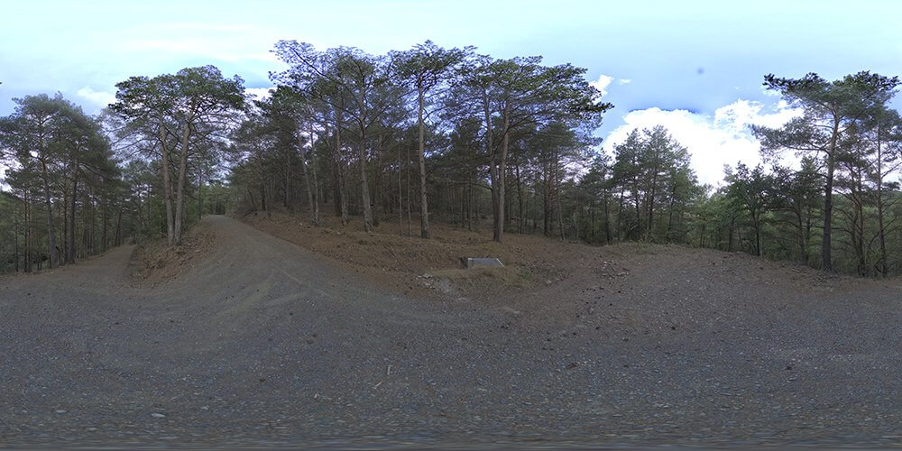 Wood Path 07 (HDRI 067) - HDR Image by omayolas