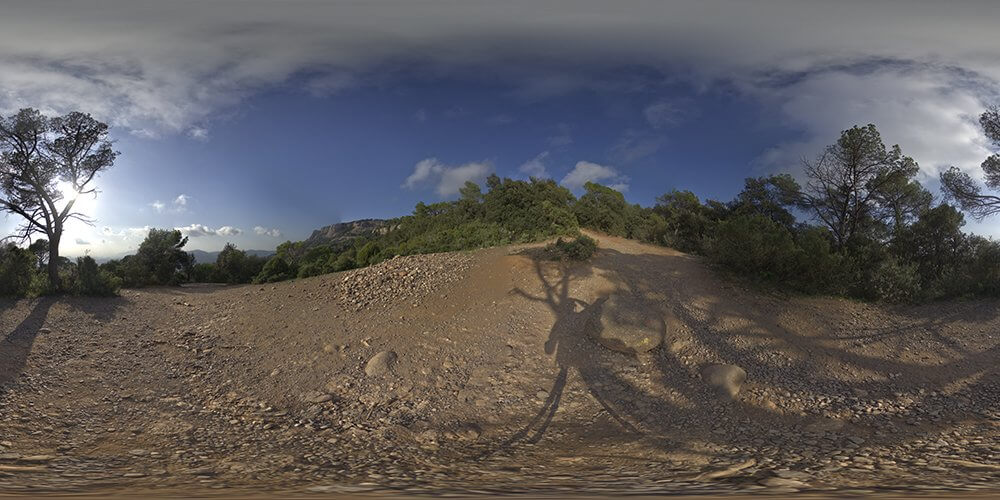 Wood Path 09 (HDRI 085) - HDR Image by omayolas