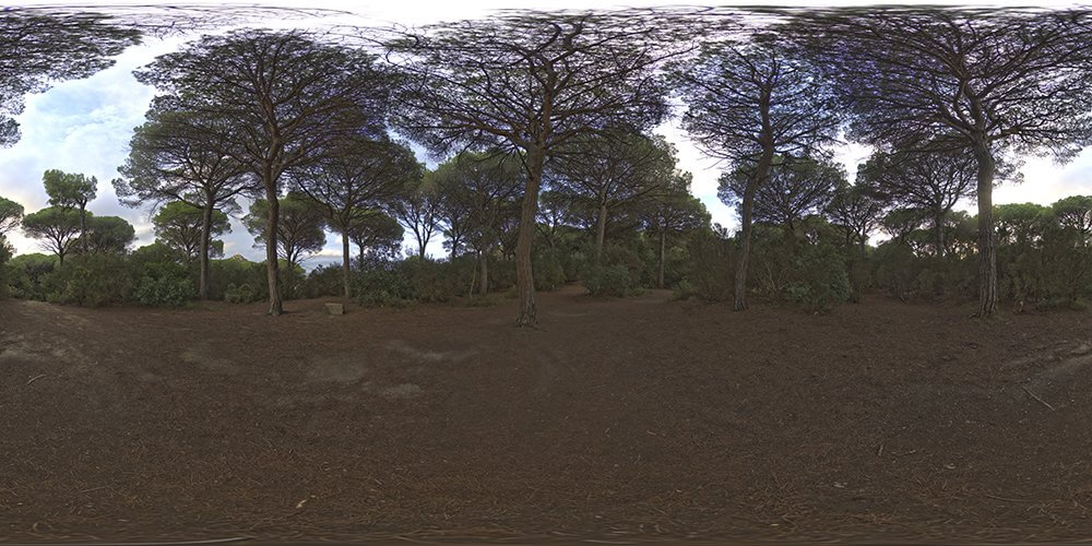 Wood Under Trees 03 (HDRI 072) - HDR Image by omayolas