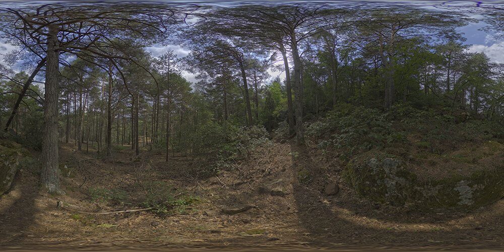 Wood Under Trees 04 (HDRI 073) - HDR Image by omayolas