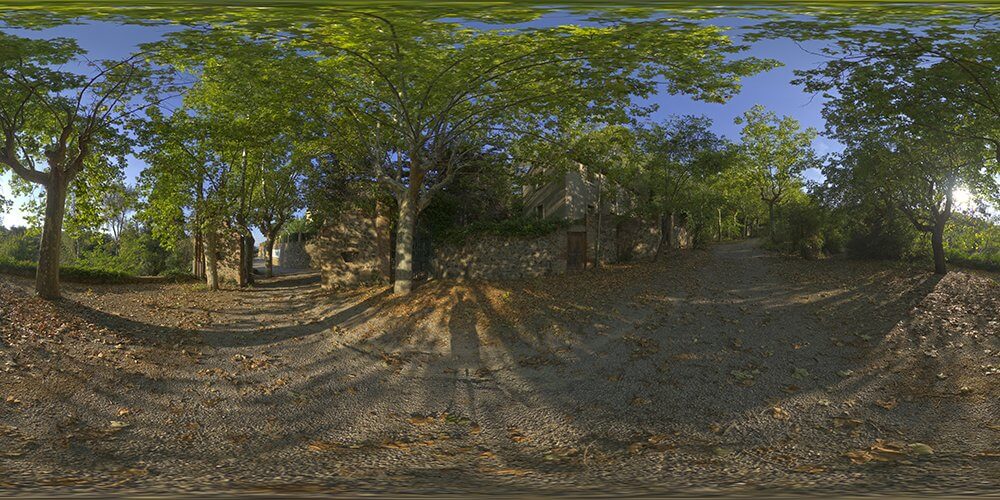 Wood Under Trees 05 (HDRI 074) - HDR Image by omayolas