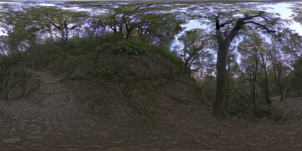 Wood Under Trees 06 (HDRI 075) - HDR Image by omayolas