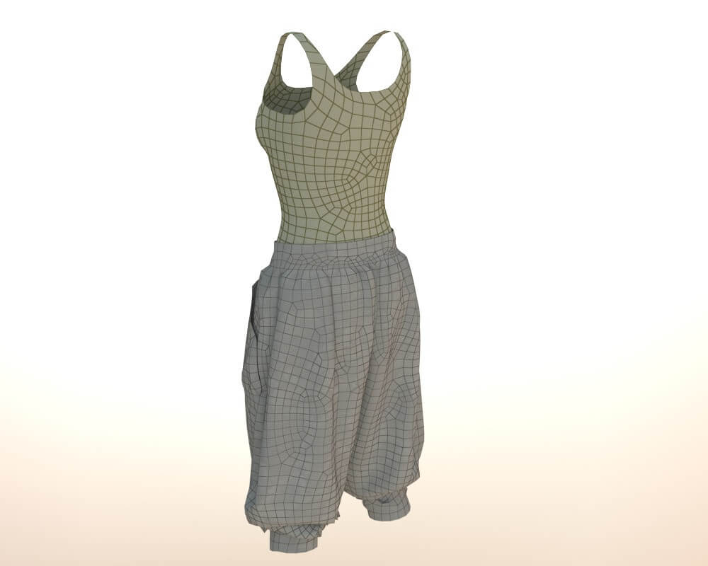 Baggy Pants and Top - 3D Model by Omega1968