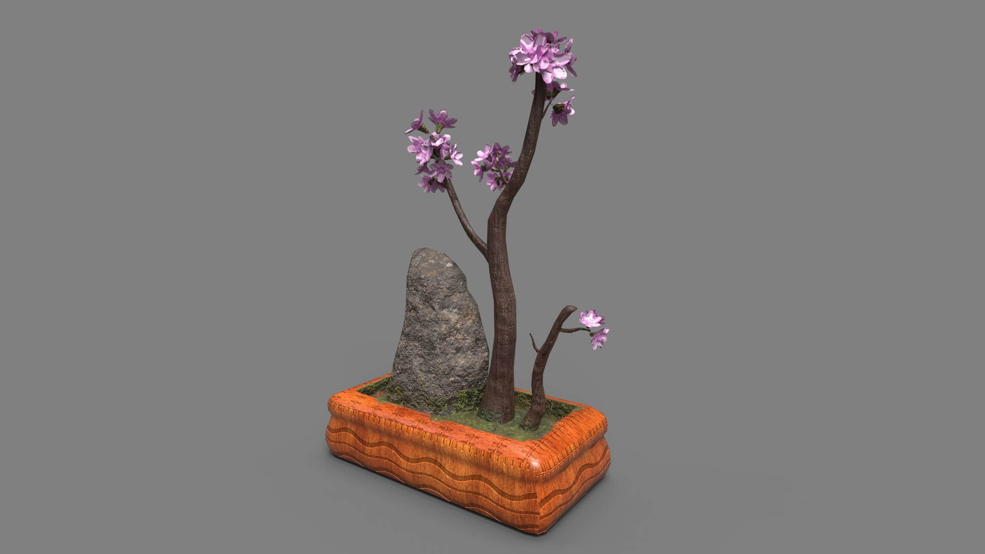 Bonsai Plant and Rock - 3D Model by omer kamal