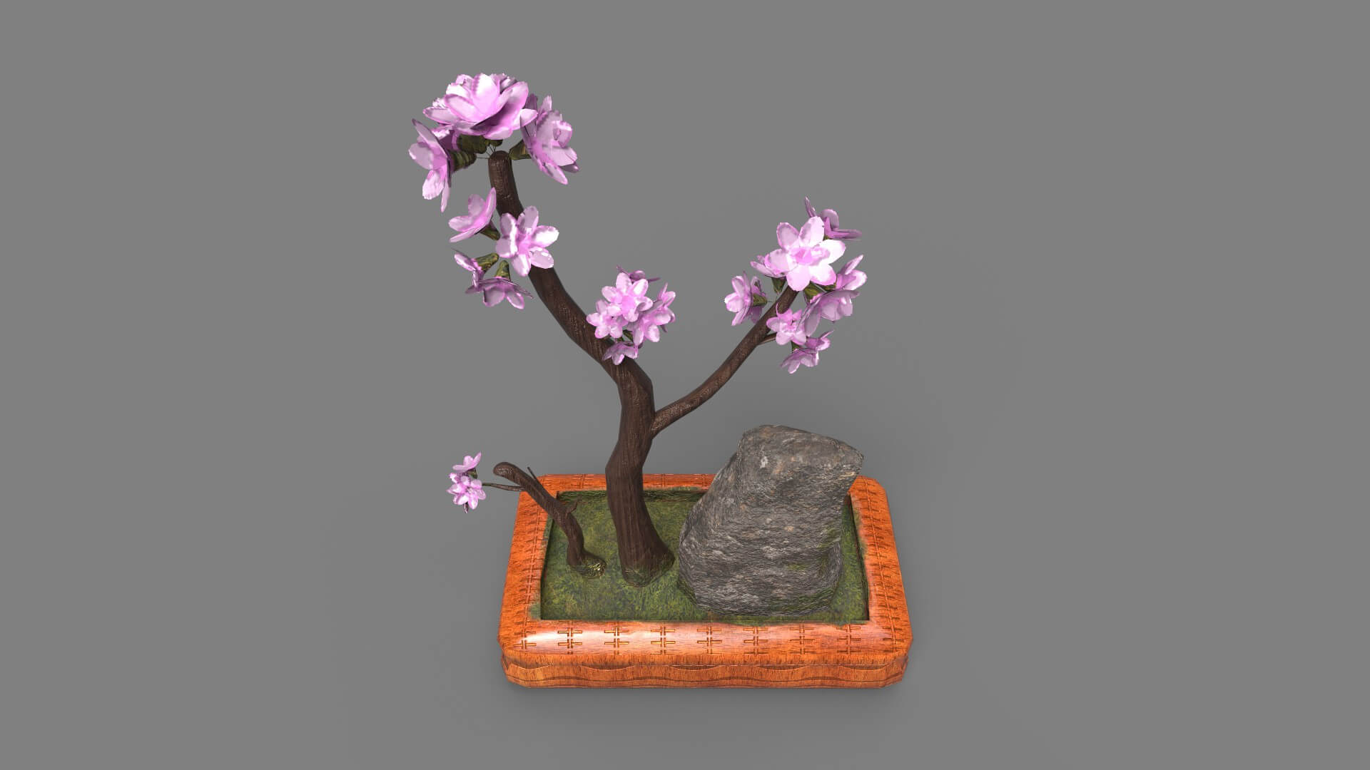 Bonsai Plant and Rock - 3D Model by omer kamal