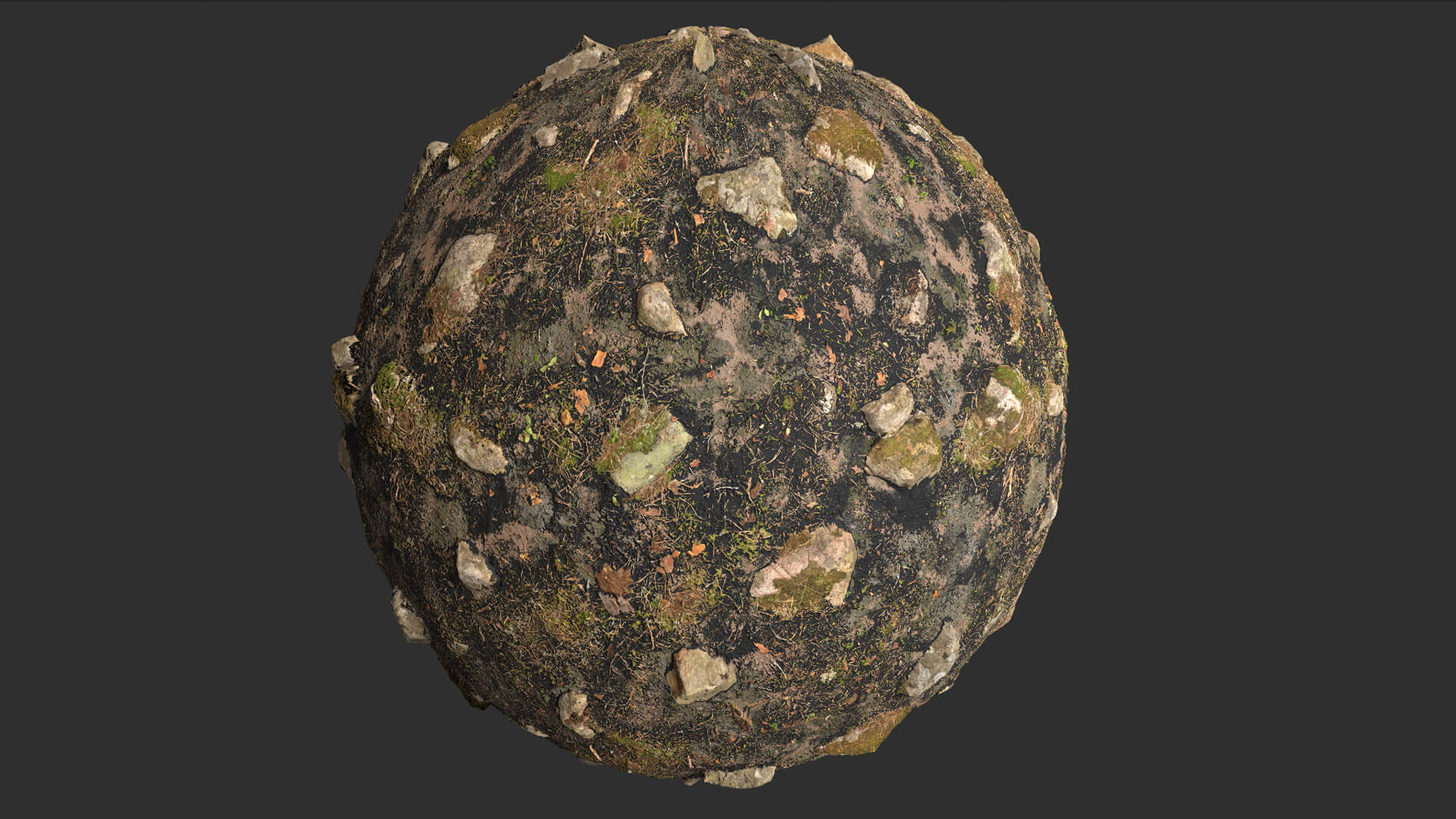 Fire Damage Forest Ground Rocks PBR 4K Texture by omer kamal