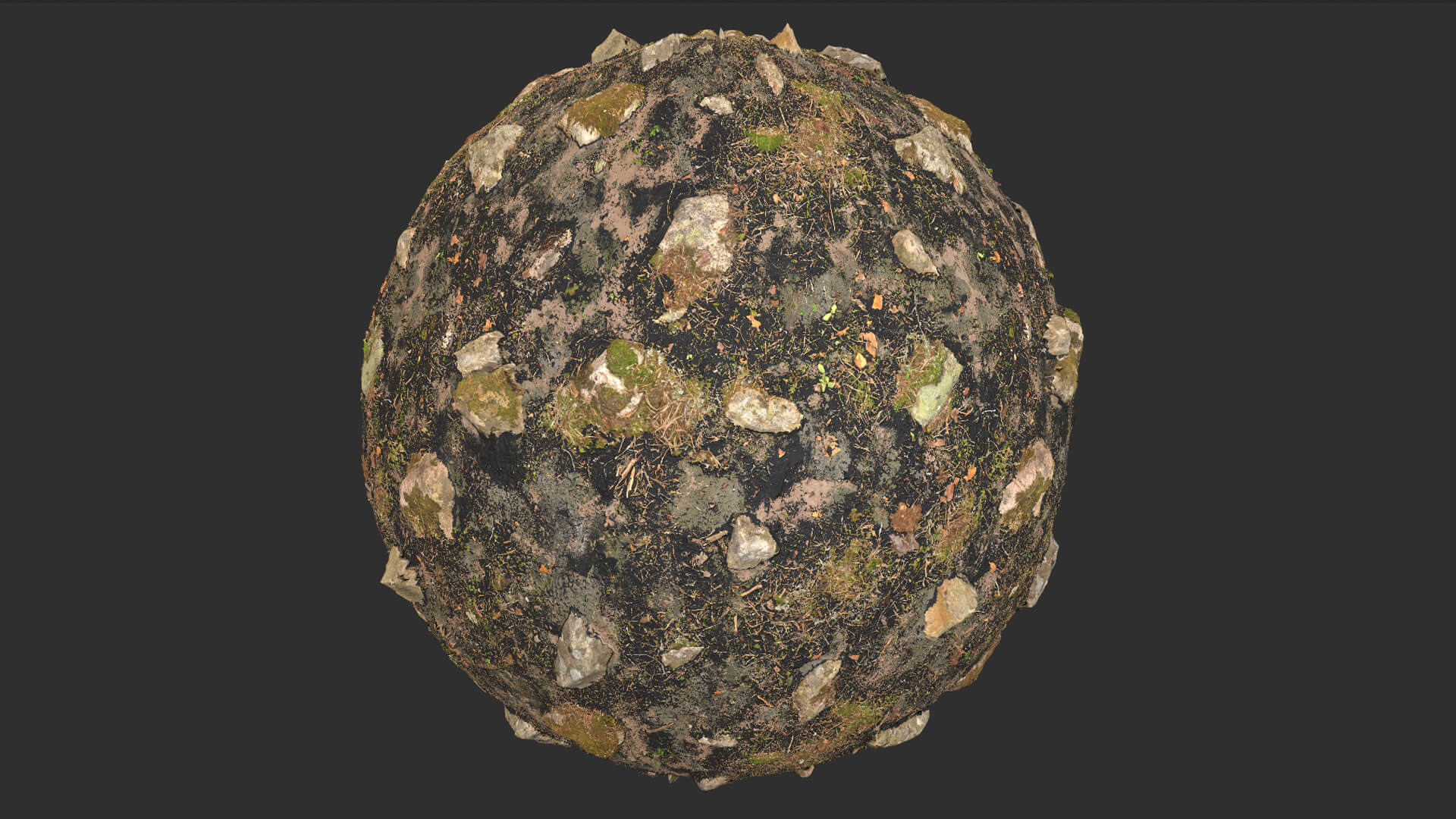 Fire Damage Forest Ground Rocks Pbr 4k Texture 3D Render