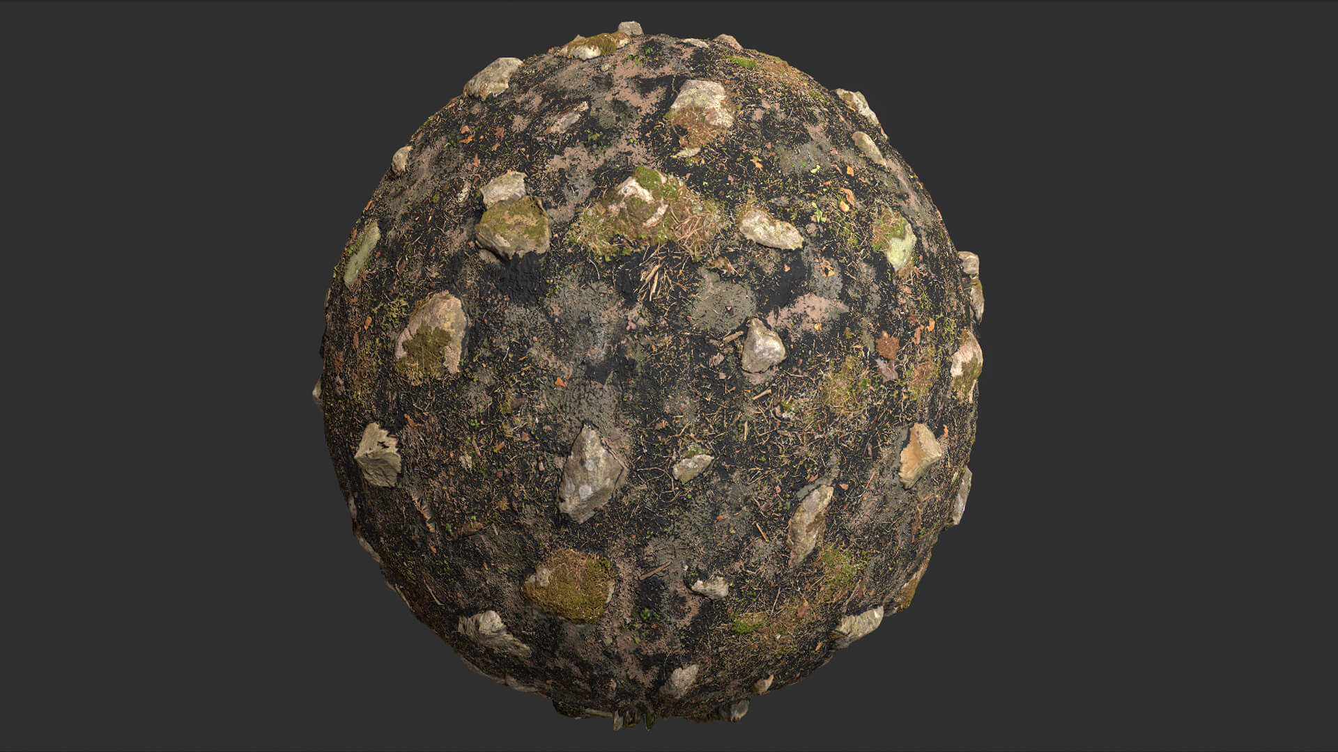 Fire Damage Forest Ground Rocks Pbr 4k Texture 3D Render