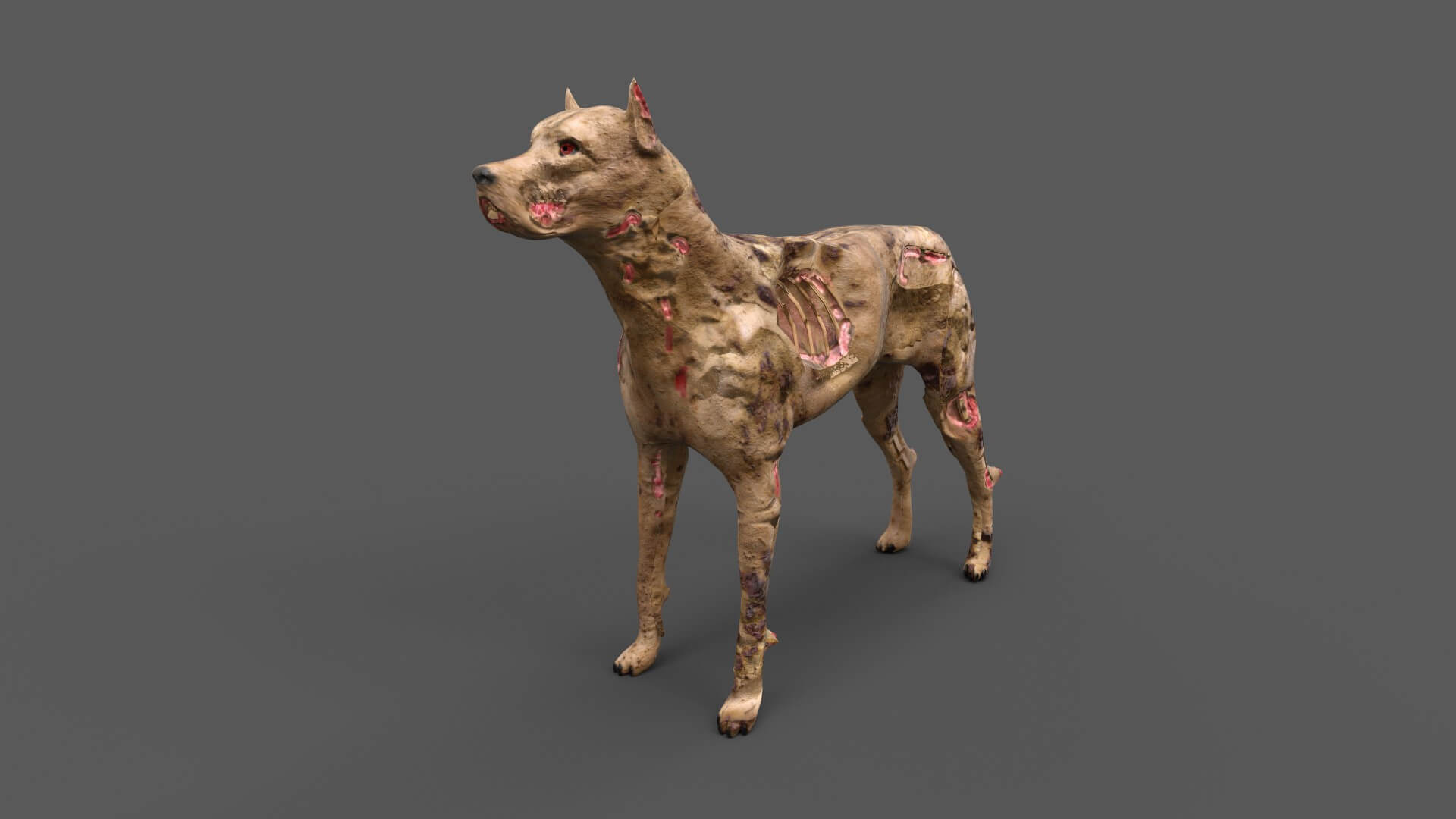 Zombie Dog Low Poly 3D Model by omer kamal