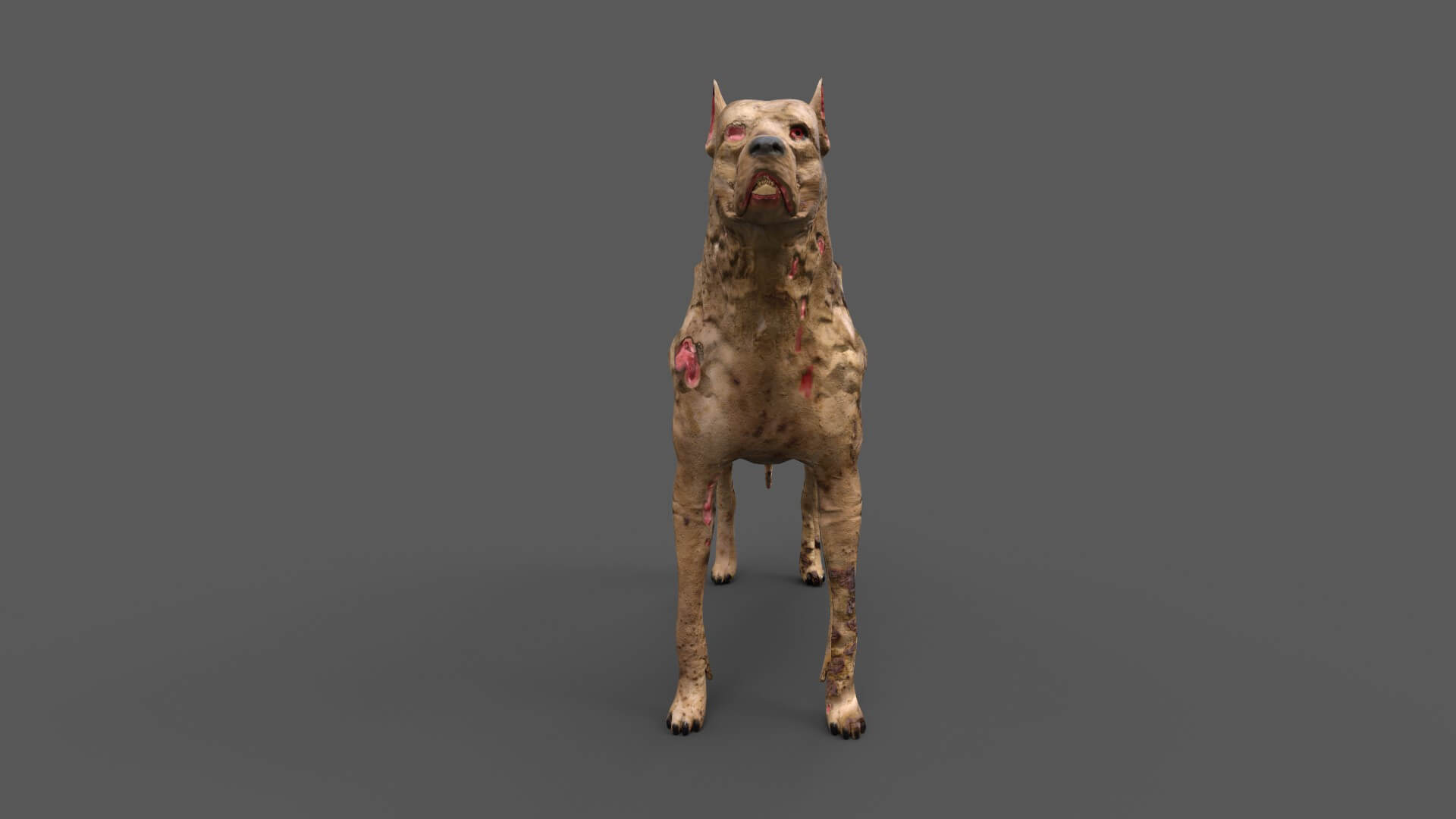 Zombie Dog Low Poly 3D Model by omer kamal