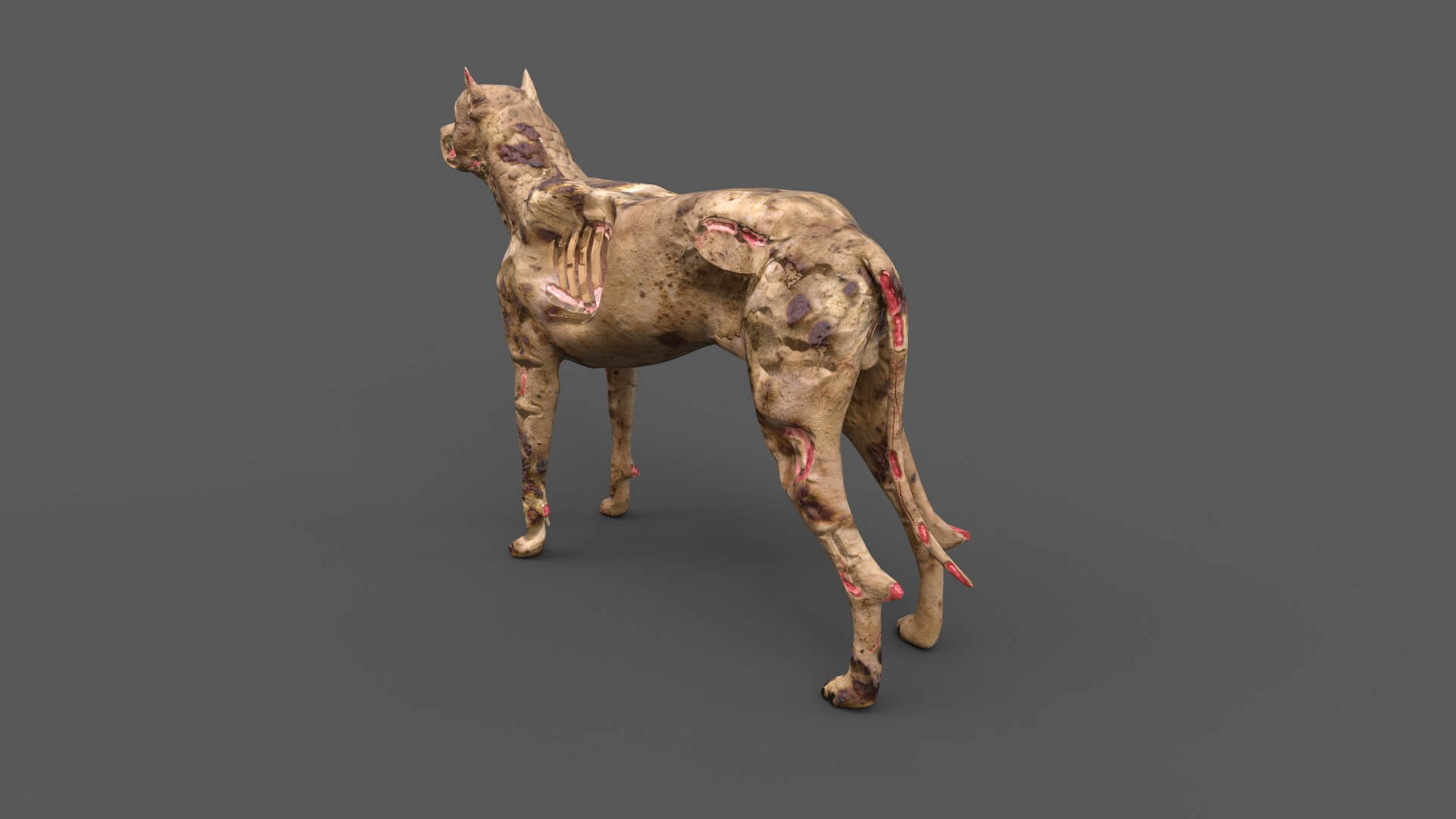 Zombie Dog Low Poly 3D Model by omer kamal