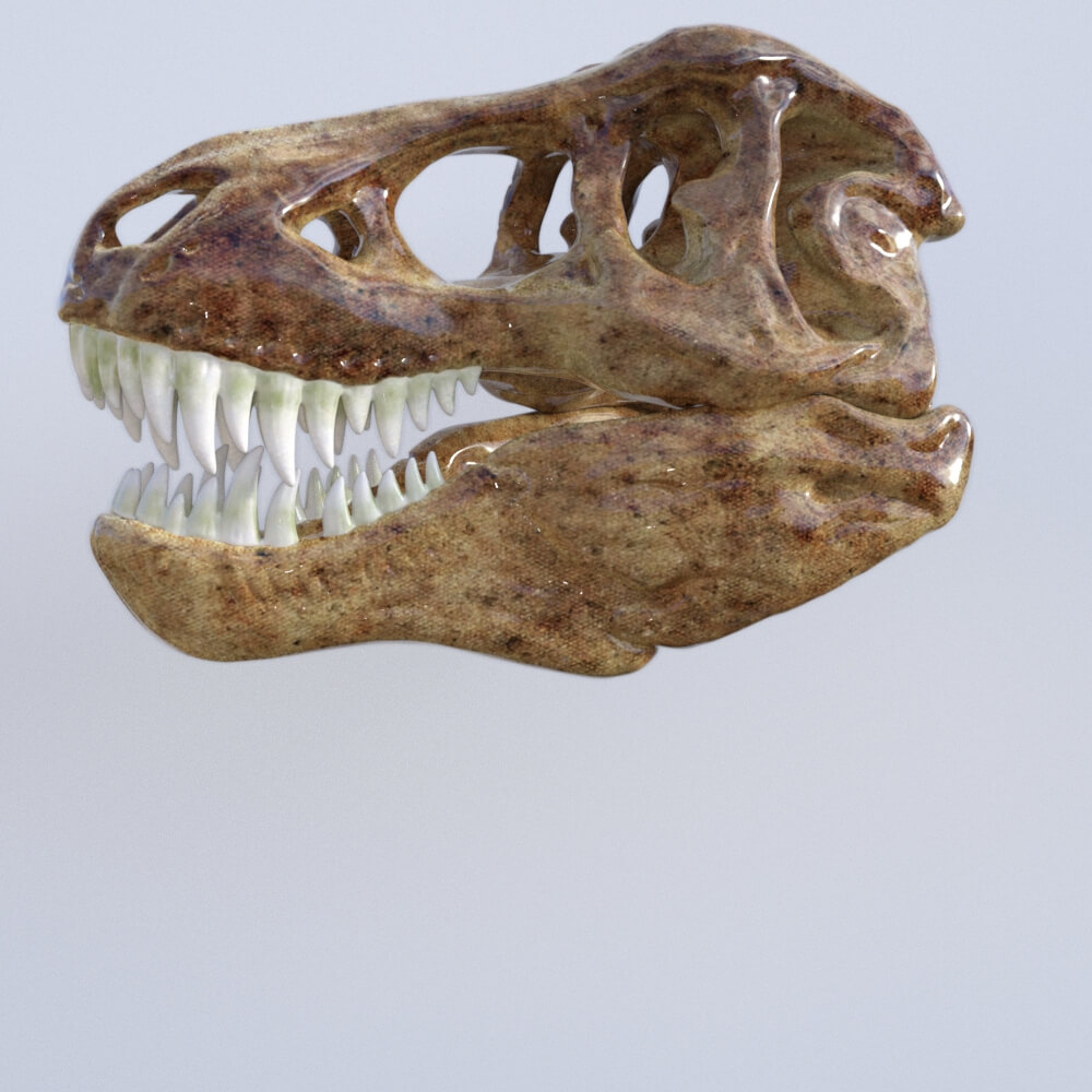 T-Rex Skull With Posable Jaw Daz Content by Omni-Moulage