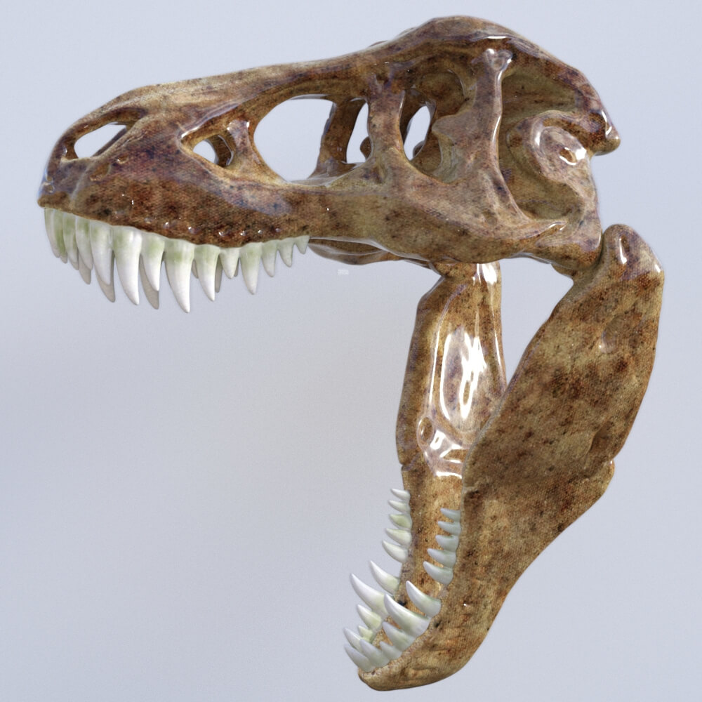T-Rex Skull With Posable Jaw Daz Content by Omni-Moulage