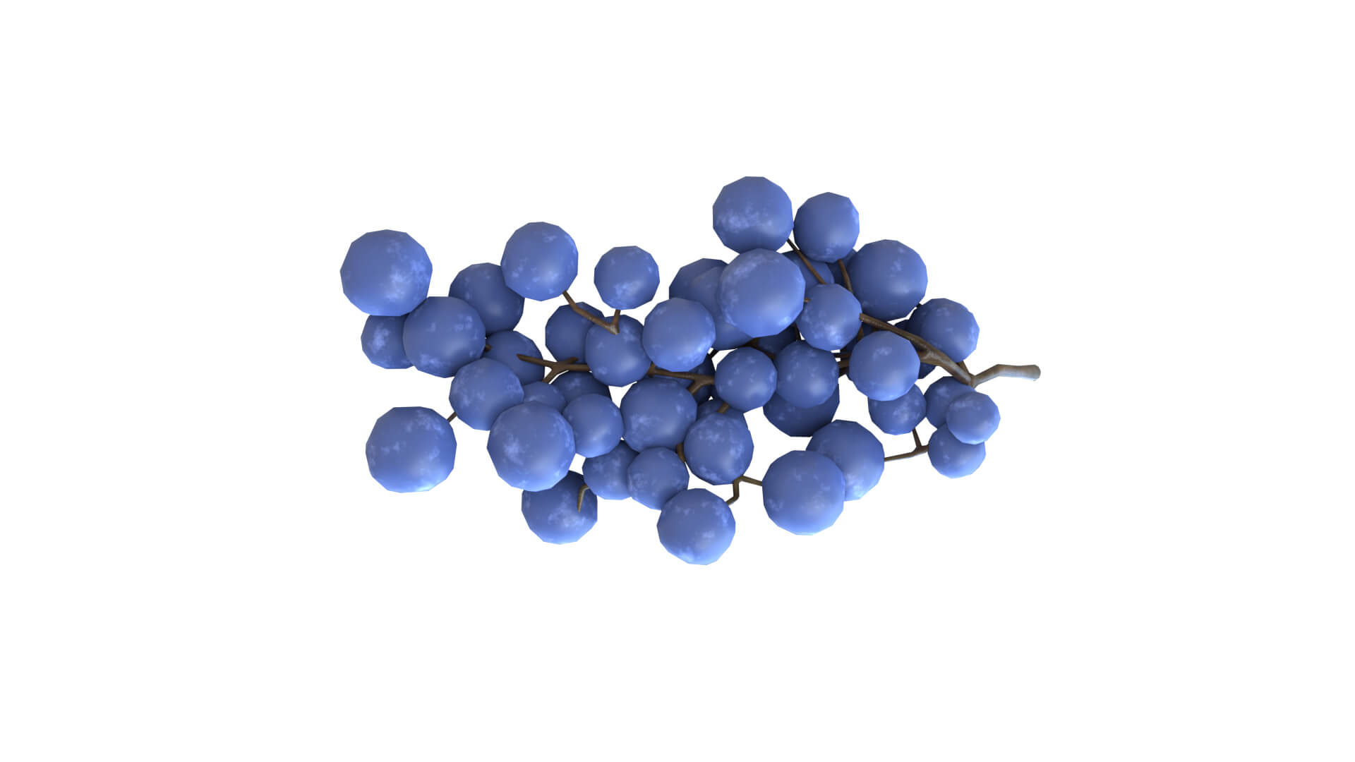 Set of Low Poly Grapes - 3D Model by Ottto3d