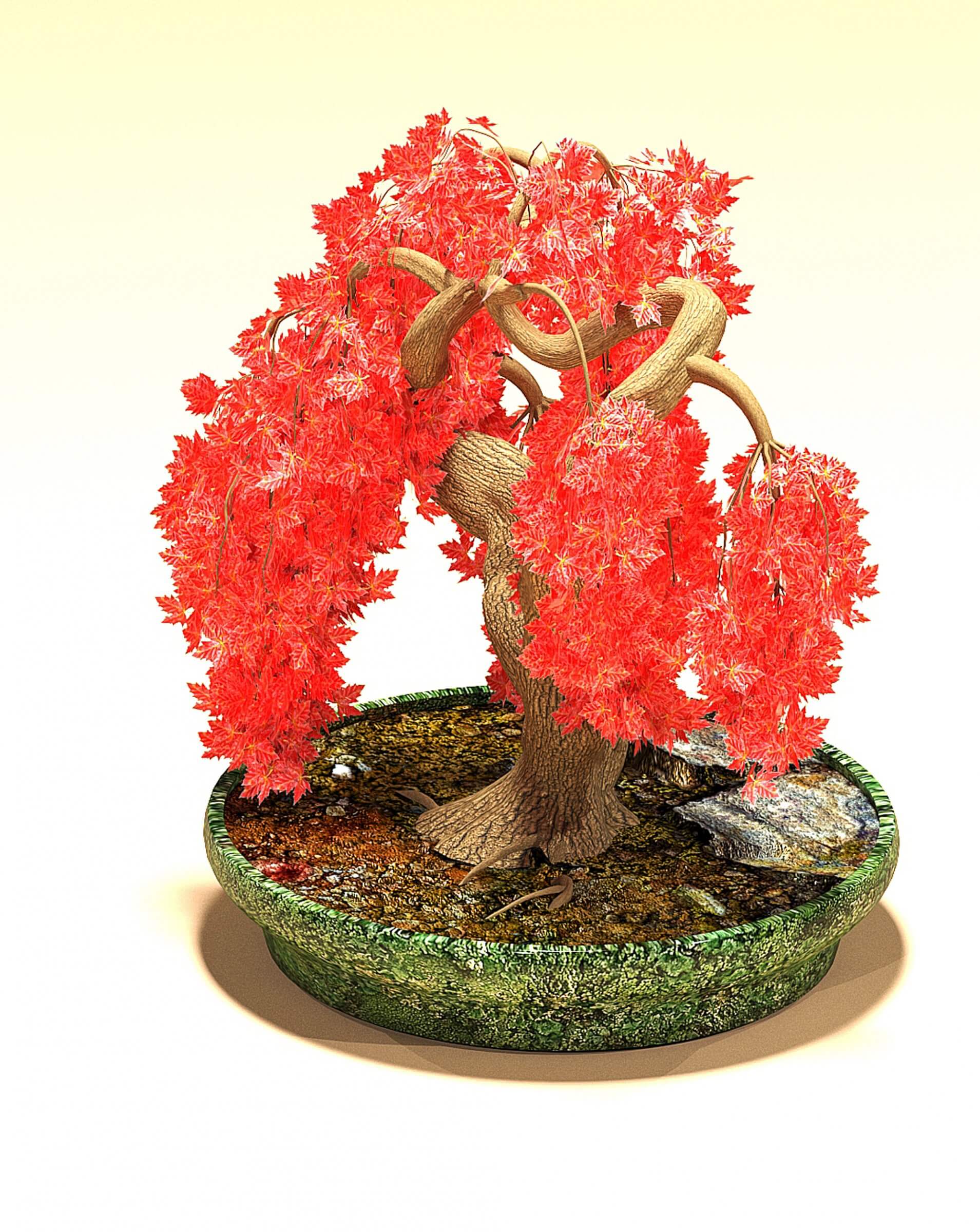 Red Maple Bonsai Tree - 3D Model by oven21031977