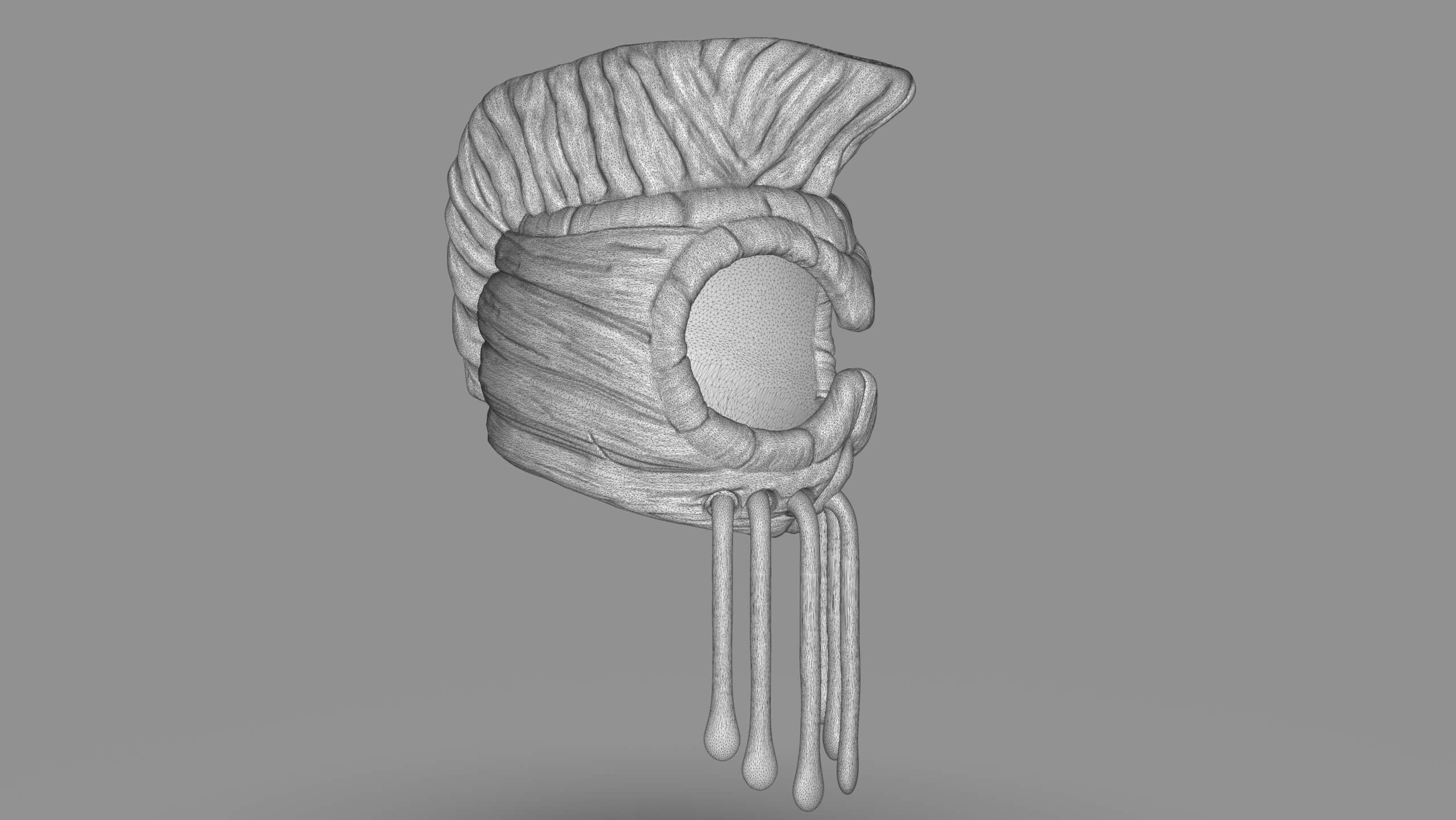 Hawaiian Warrior Helmet - 3D Model by PaburoVIII