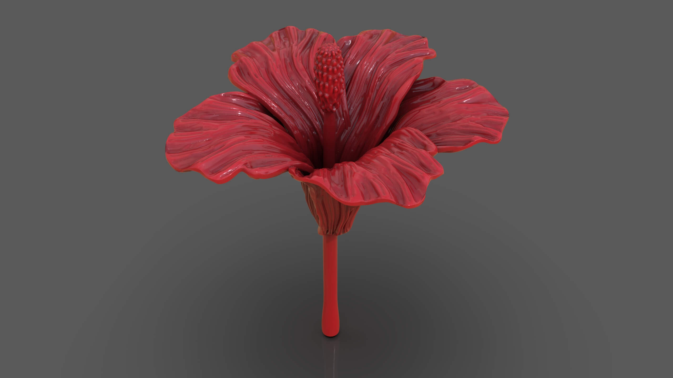 Hibiscus Flower Sculpt - 3D Model by PaburoVIII